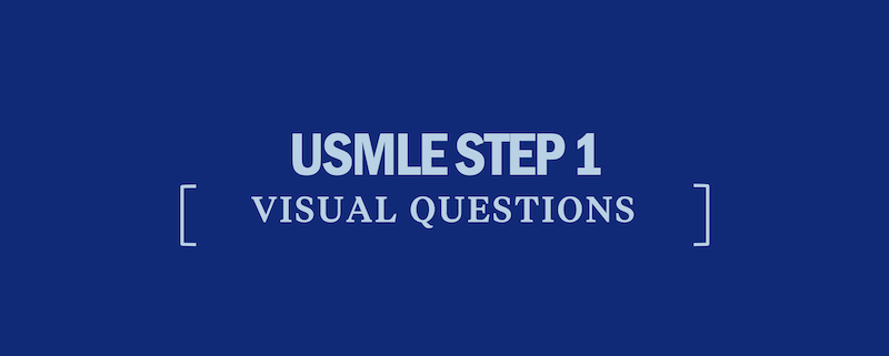 USMLE Step 1: Visual Questions