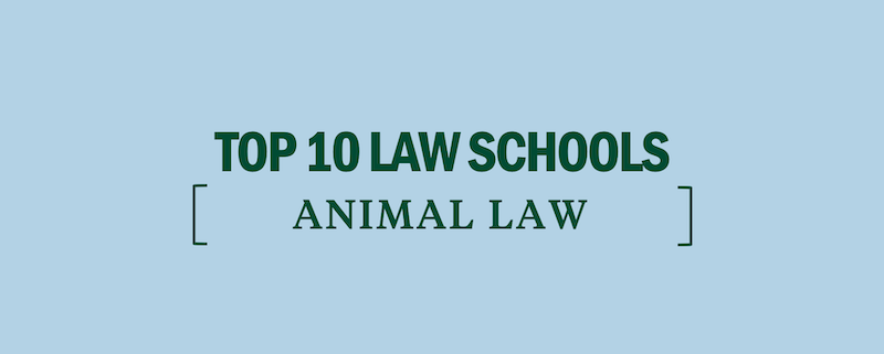 Top 10 Law School Animal Law Programs - Kaplan Test Prep